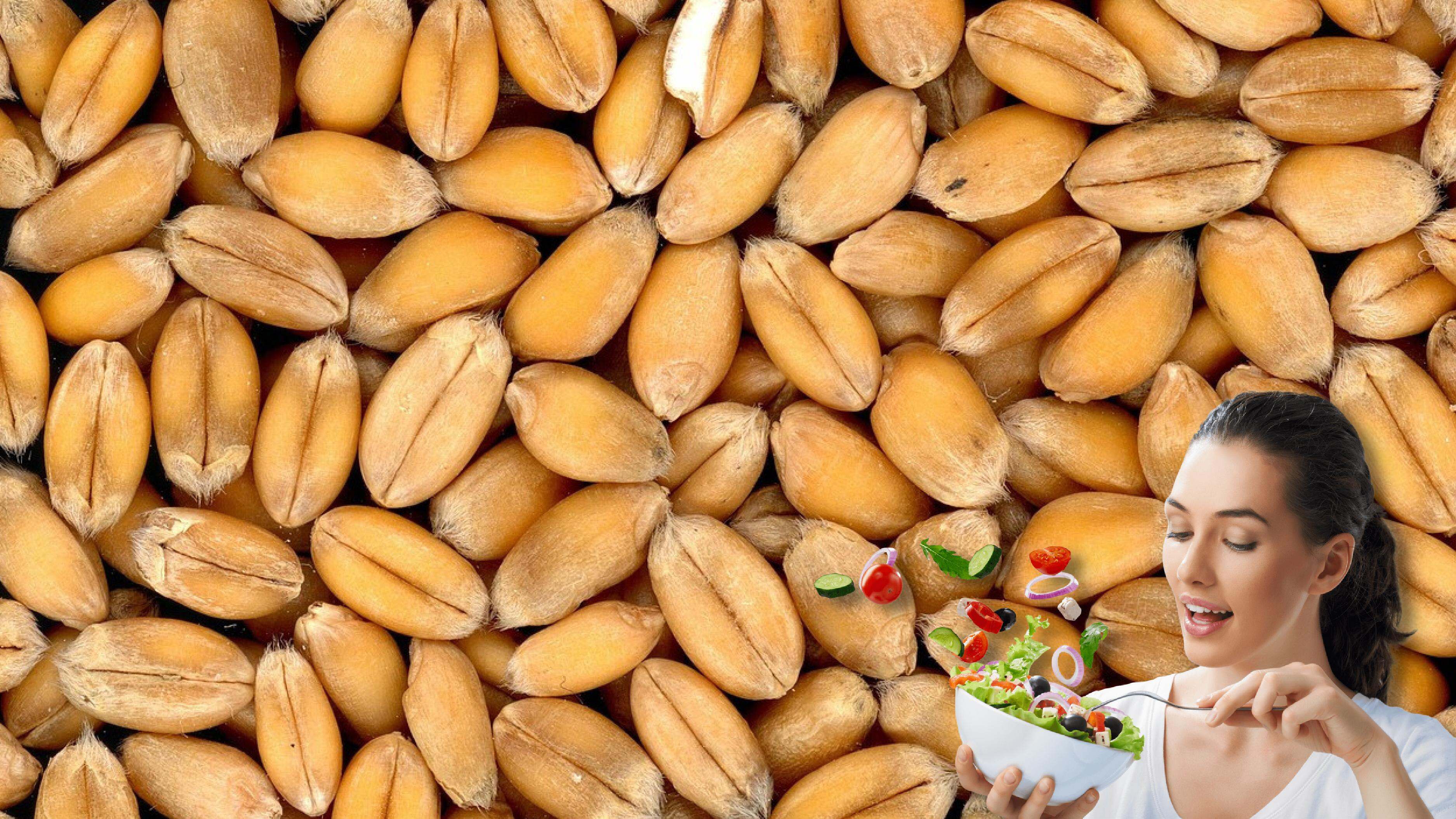 International Women’s Day: Benefits Of Eating Dalia For Women Over 50 ...