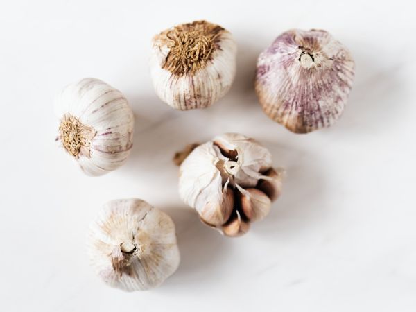 Does Garlic Increase Your Libido Whom Does It Benefit More Men Or