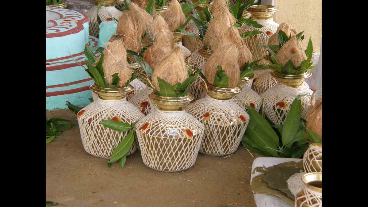 Types Of Coconuts Used For Puja And Associated Rituals - Boldsky.com