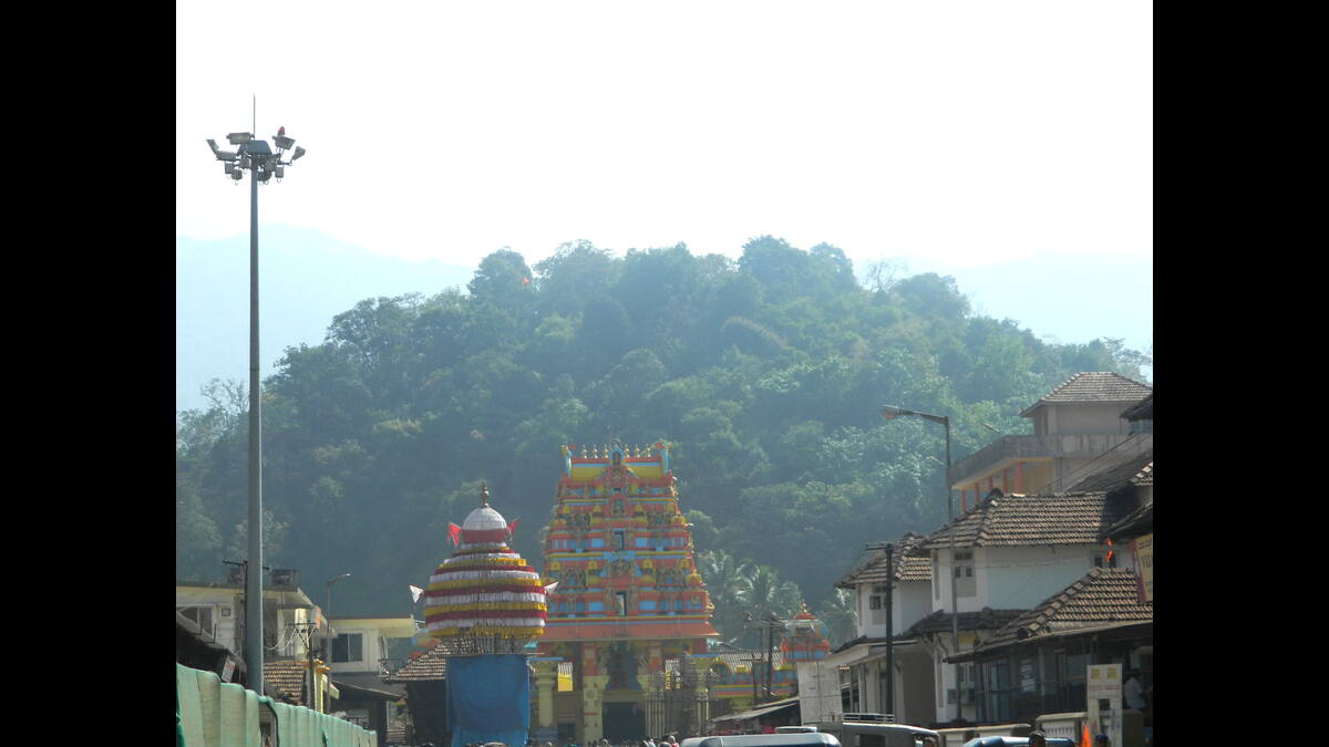 How To Get Sarpa Samskara Puja And Ashlesha Bali Puja Done For Sarpa ...