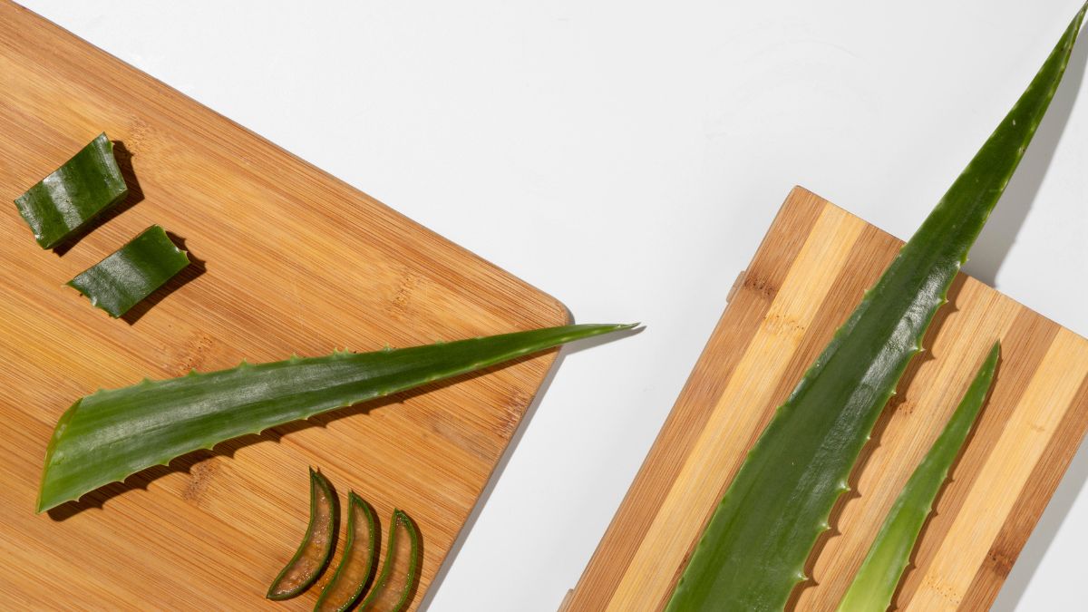 How To Use Aloe Vera For Calming Your Skin In Summer - Boldsky.com