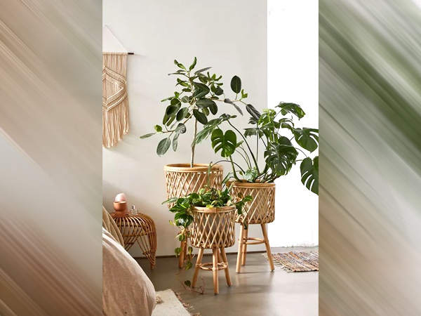 5 Best Tips To Feature A Boho Look In Your Home - Boldsky.com