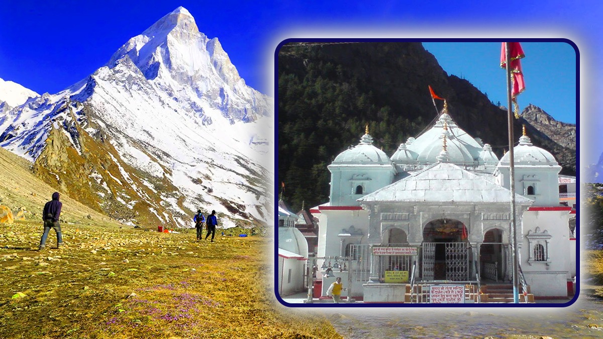 Char Dham Yatra 2023: In Search Of Tapovan, Near Gangotri, Uttarakhand ...