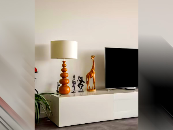 5 Decoration Ideas To Style Your TV Unit - Boldsky.com