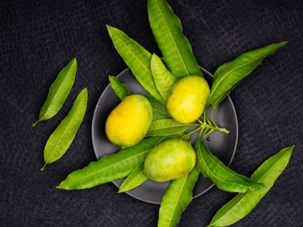Can Pregnant Woman Eat Mangoes? How Many A Day Is Safe? - Boldsky.com