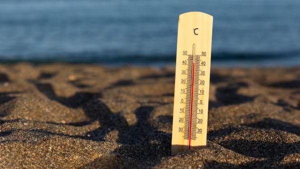 Heatwave, Schools Closed in Patna, Jharkhand: Heatwave Protection Tips ...