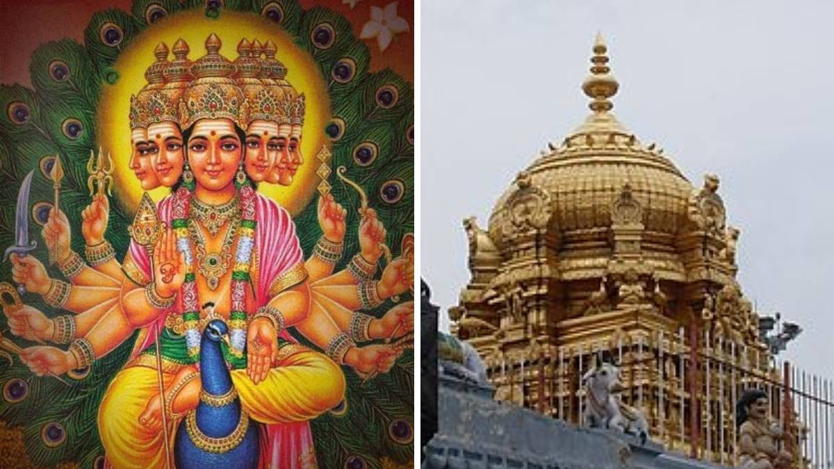 Skanda Sashti 2023: What is Kavadi Ritual? Why Is It Conducted During ...