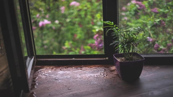 Monsoons: 6 Handy Tips To Reduce Dampness In Your Home - Boldsky.com