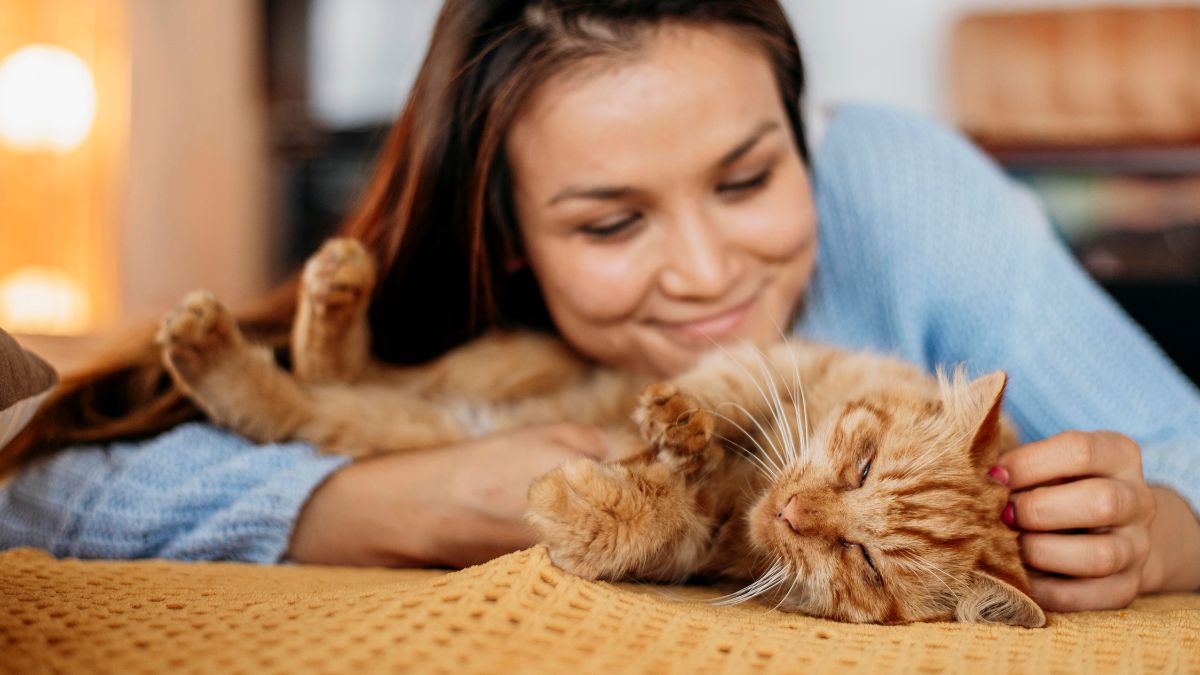 International Cat Day 2023: Did You Know That Cat Purring Can Benefit ...
