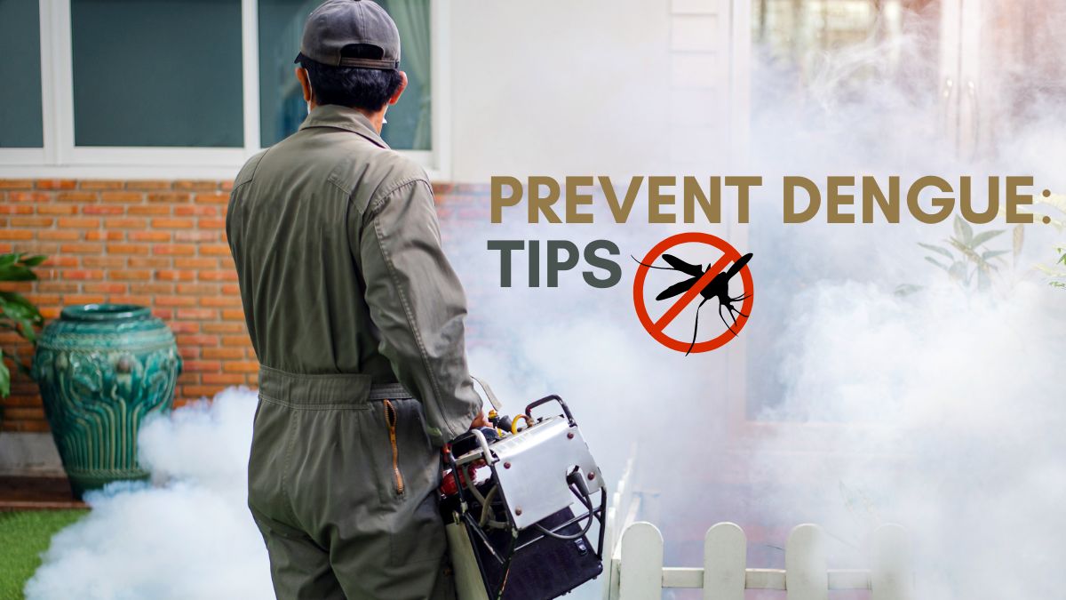 Prevent Dengue At Home: Expert Tips To Keep Your Home Mosquito-Free ...