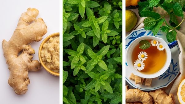 Effective Ways to Control Excessive Farting and Improve Digestive ...