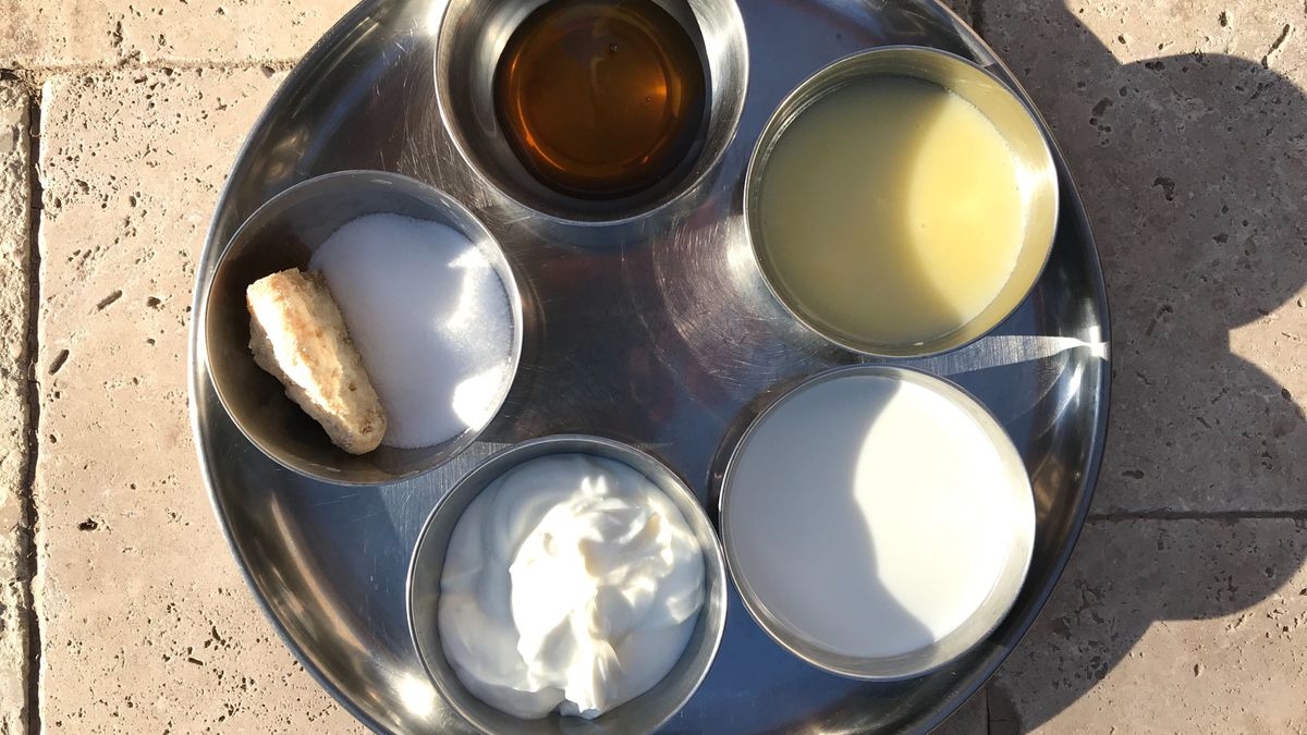 Boost Your Immunity with Panchamrit: The Traditional Indian Elixir ...