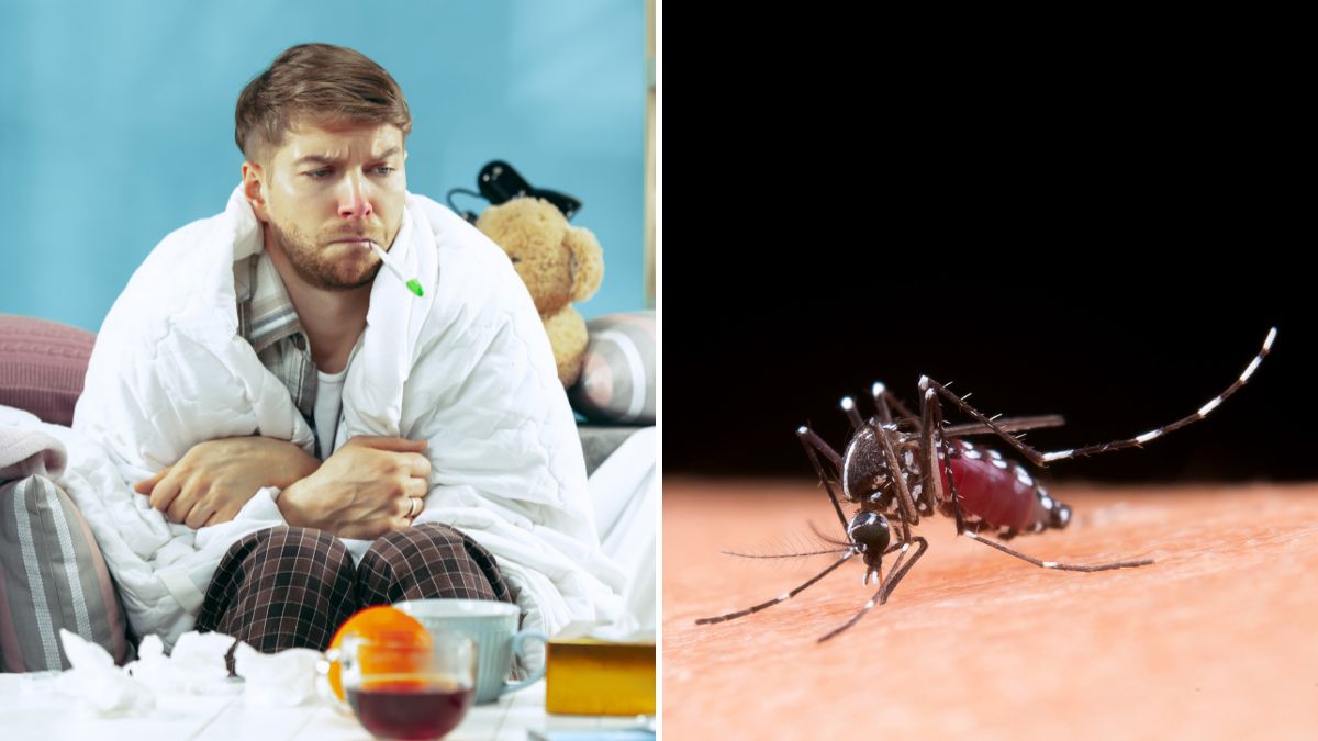 Dengue Fever: Do You Have Dengue Or Severe Dengue? Find Common Symptoms ...