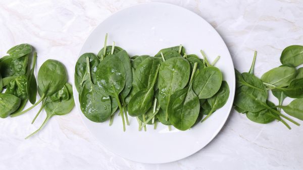 How To Keep Spinach (Palak) Leaves Fresh In Indian Summer, Winter And ...
