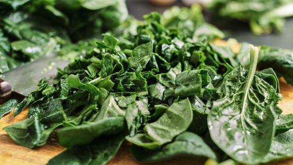 How To Keep Spinach (Palak) Leaves Fresh In Indian Summer, Winter And ...