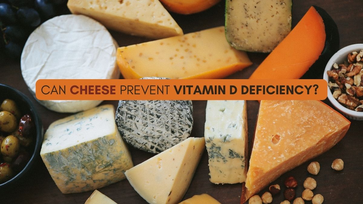 Can Cheese Help Prevent Vitamin D Deficiency? Which Cheese Is The Best ...
