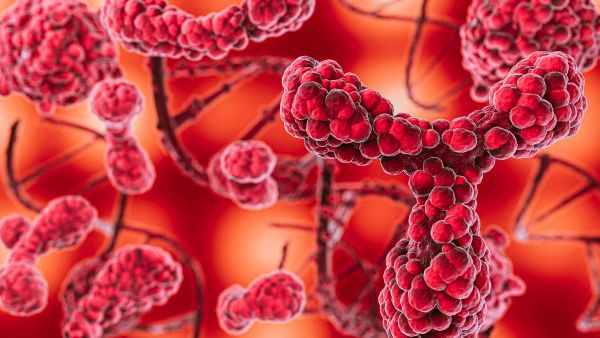 Expert Article: What Is Chronic Lymphocytic Leukemia? What Are The ...