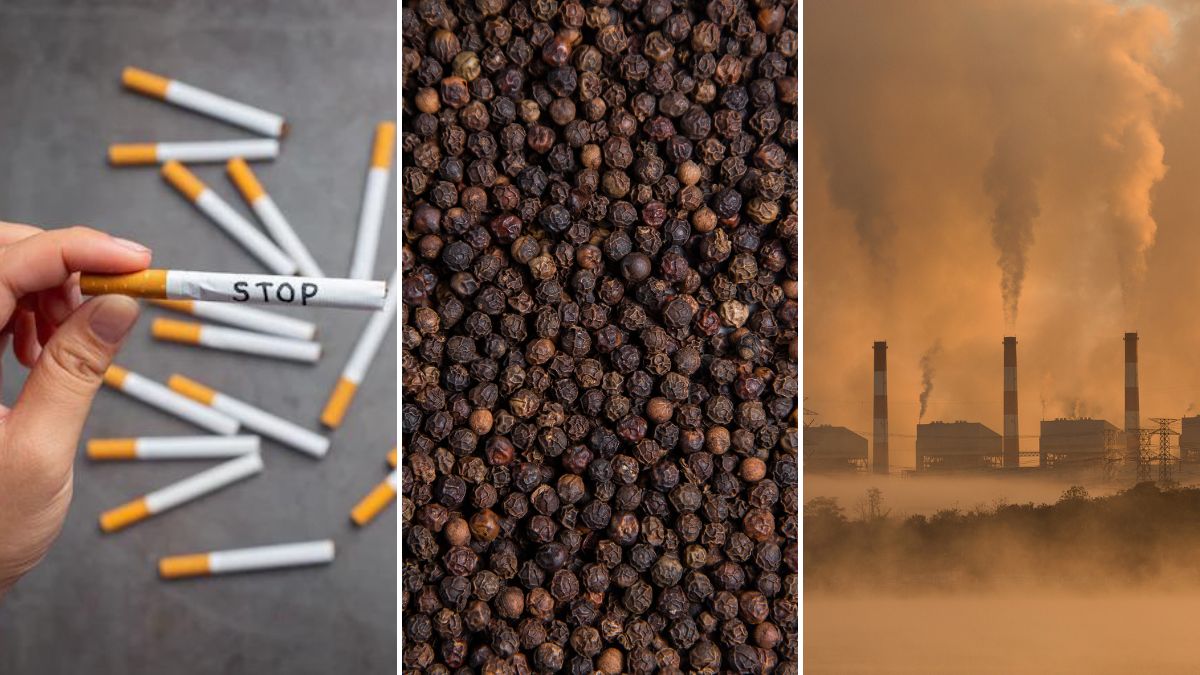 Can Adding Pepper To Your Diet Help Reduce Cigarette Smoke Risk And ...