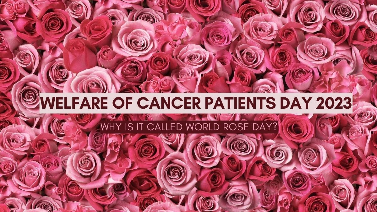 Welfare Of Cancer Patients Day 2023: Why It Is Called World Rose Day ...