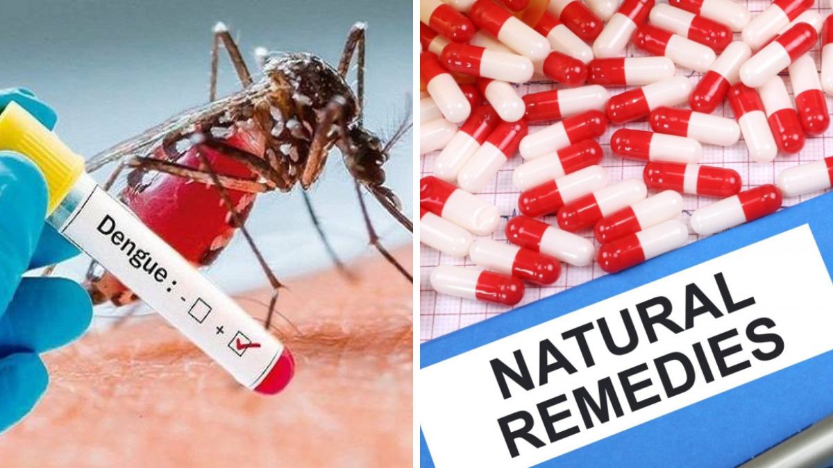 Best Home Remedies For Body Pain Caused By Dengue Fever - Boldsky.com