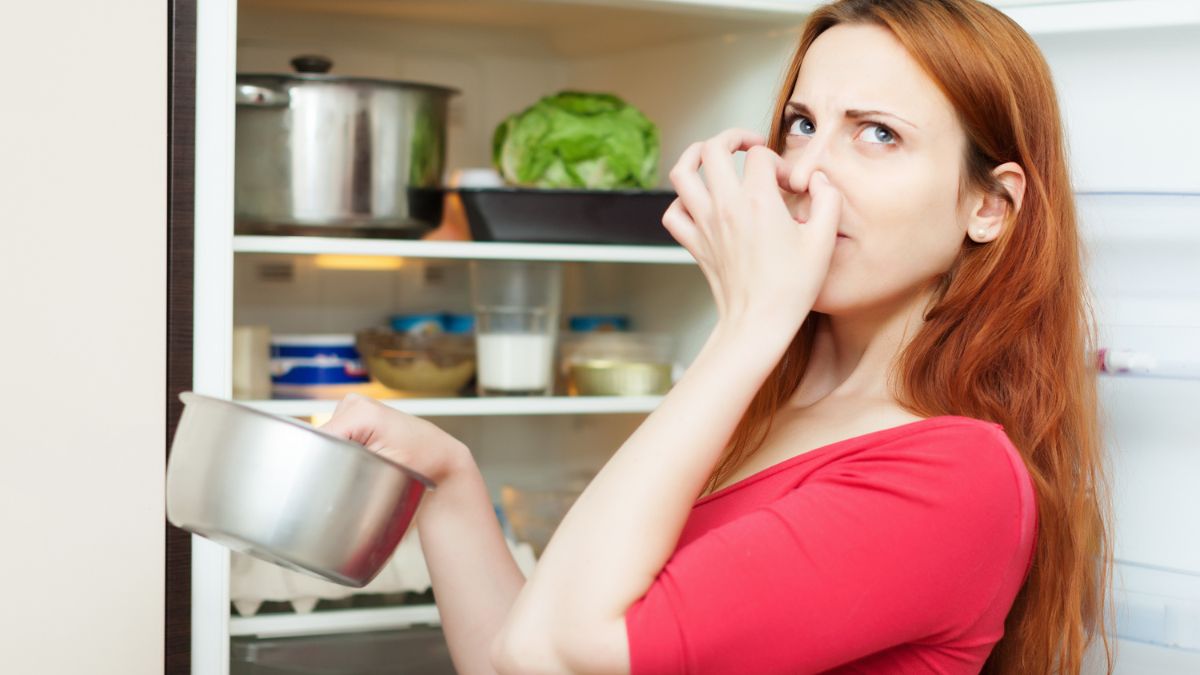 Is Your Fridge Making Your Food Stale? 6 Signs Of Spoiled Food ...