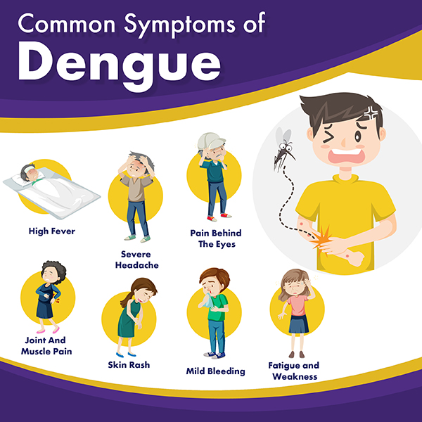 Dengue 101: Causes, Symptoms, Risks, Complications, Treatment ...