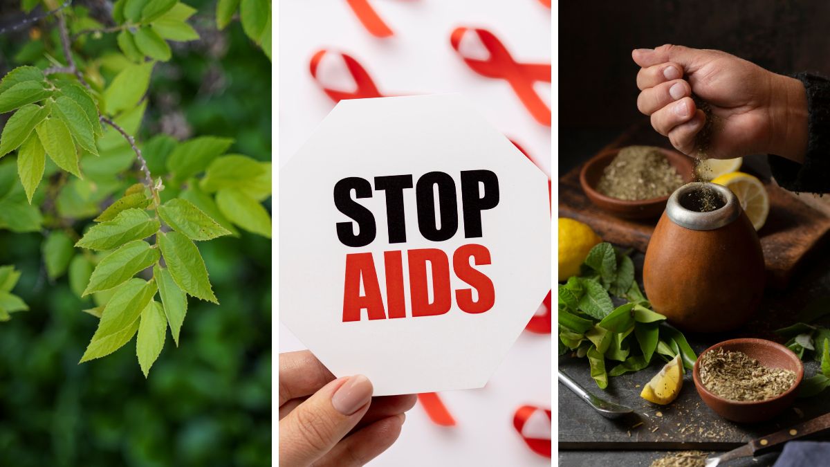 World HIV/AIDS Day: From Garlic to Rituals: All The Ancient AIDS ...