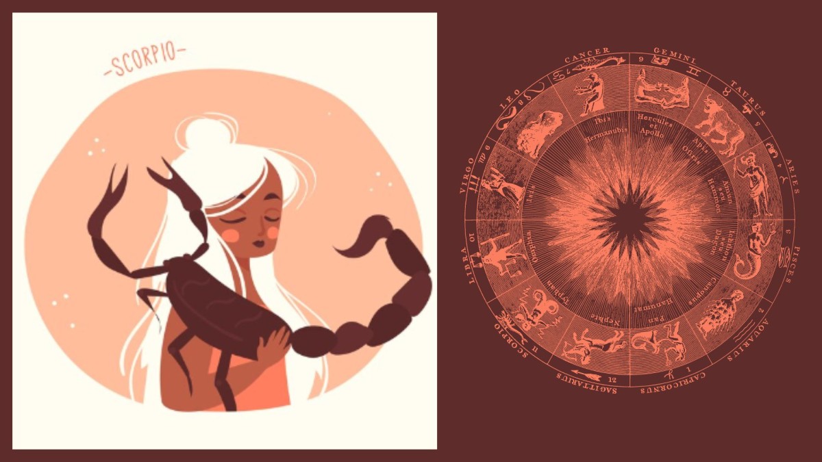 Scorpio Yearly Horoscope 2024: New Year Will Be Fantastic In Terms Of ...