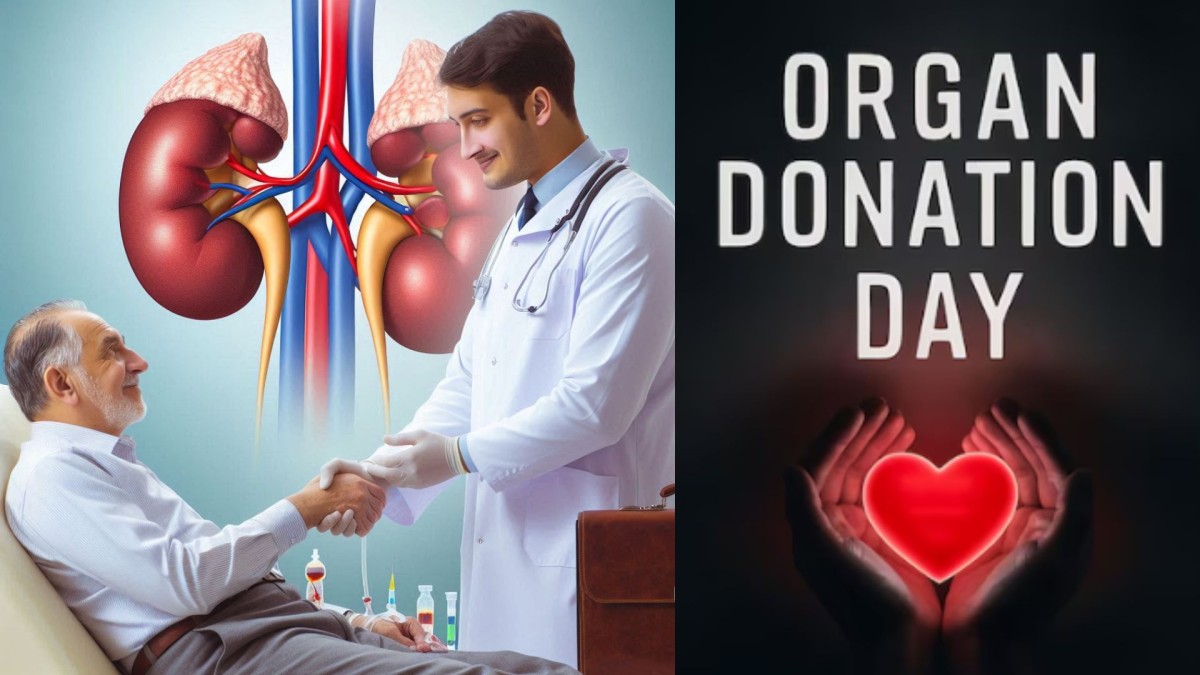 World Organ Donation Day 2024: Step-by-Step Guide To Donate A Kidney ...