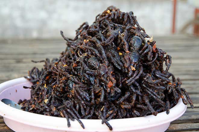 Top 10 Most Strangest Foods- Boldsky