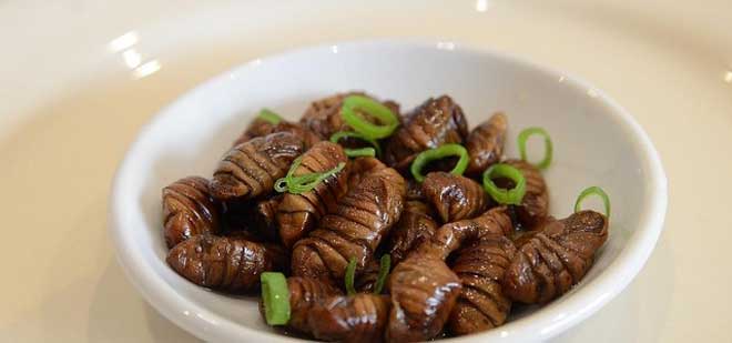 Top 10 Most Strangest Foods- Boldsky