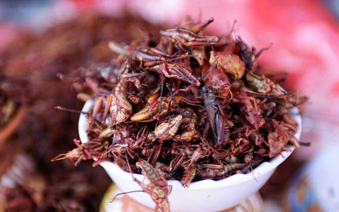 Top 10 Most Strangest Foods- Boldsky