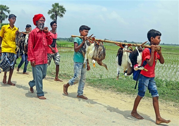 Sawan 2023: Witness the Unique Extended Celebration of Shravan This ...